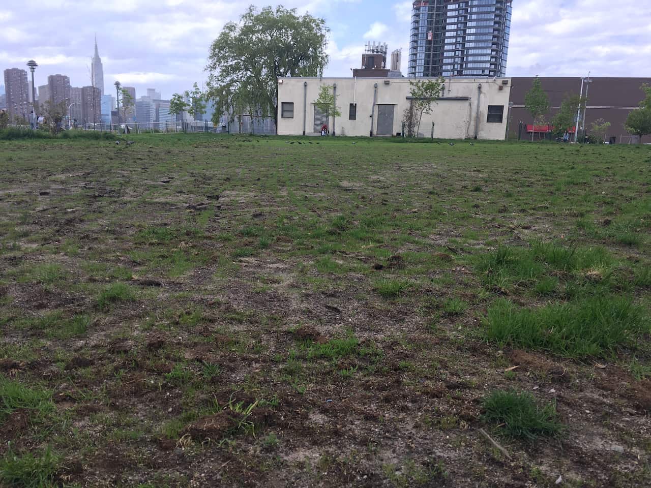 The Transmitter Park Lawn Needs to Rest - Greenpointers