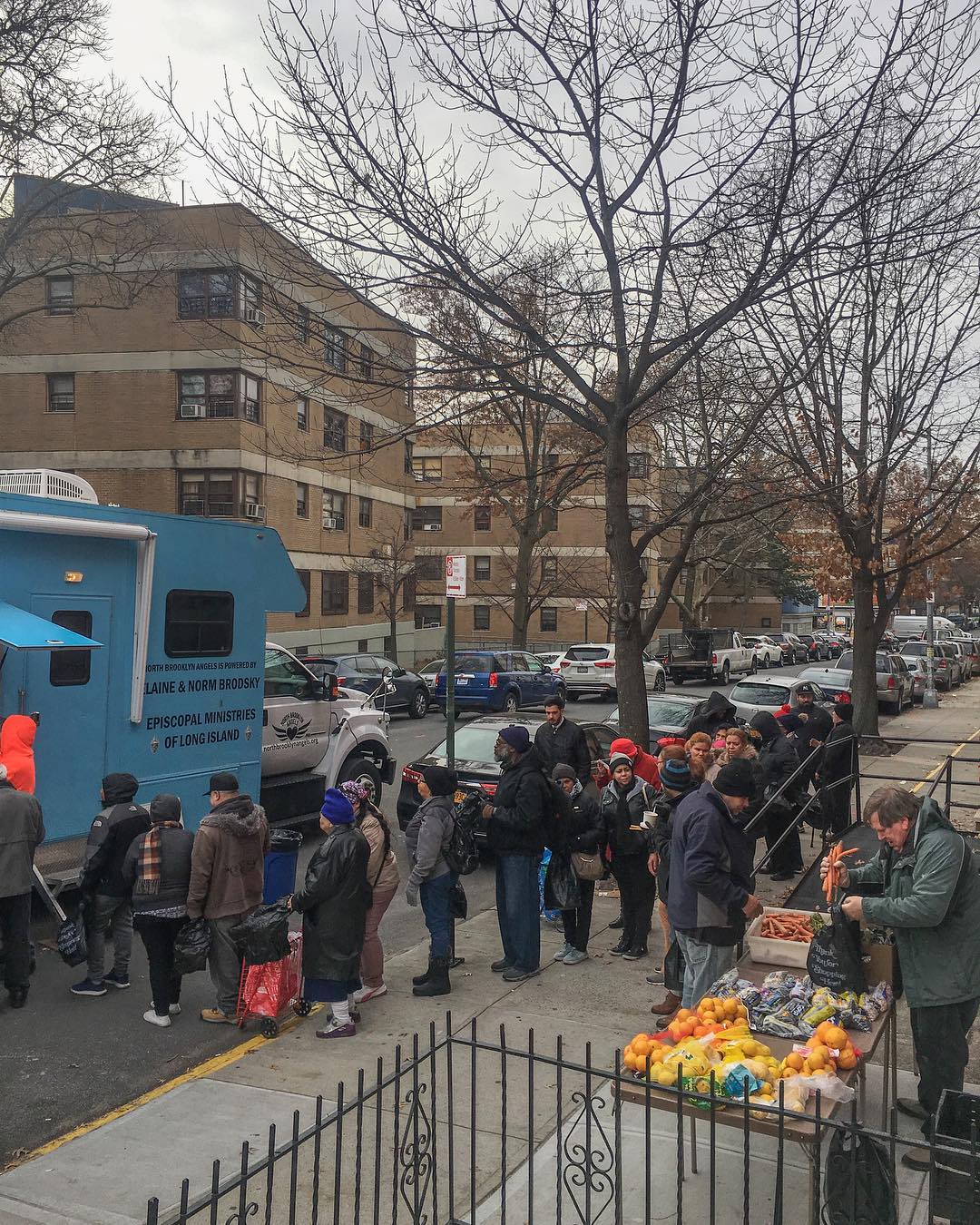 New Year, New Volunteer Opportunities in North Brooklyn - Greenpointers