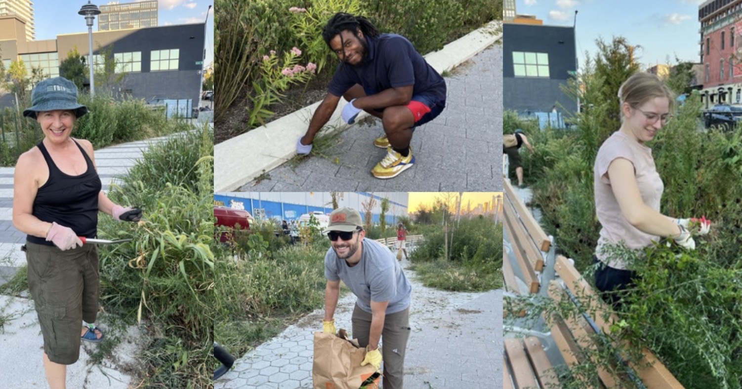 Get Your Hands Dirty With Eco-Friendly Volunteer Opportunities in Greenpoint This Week ...