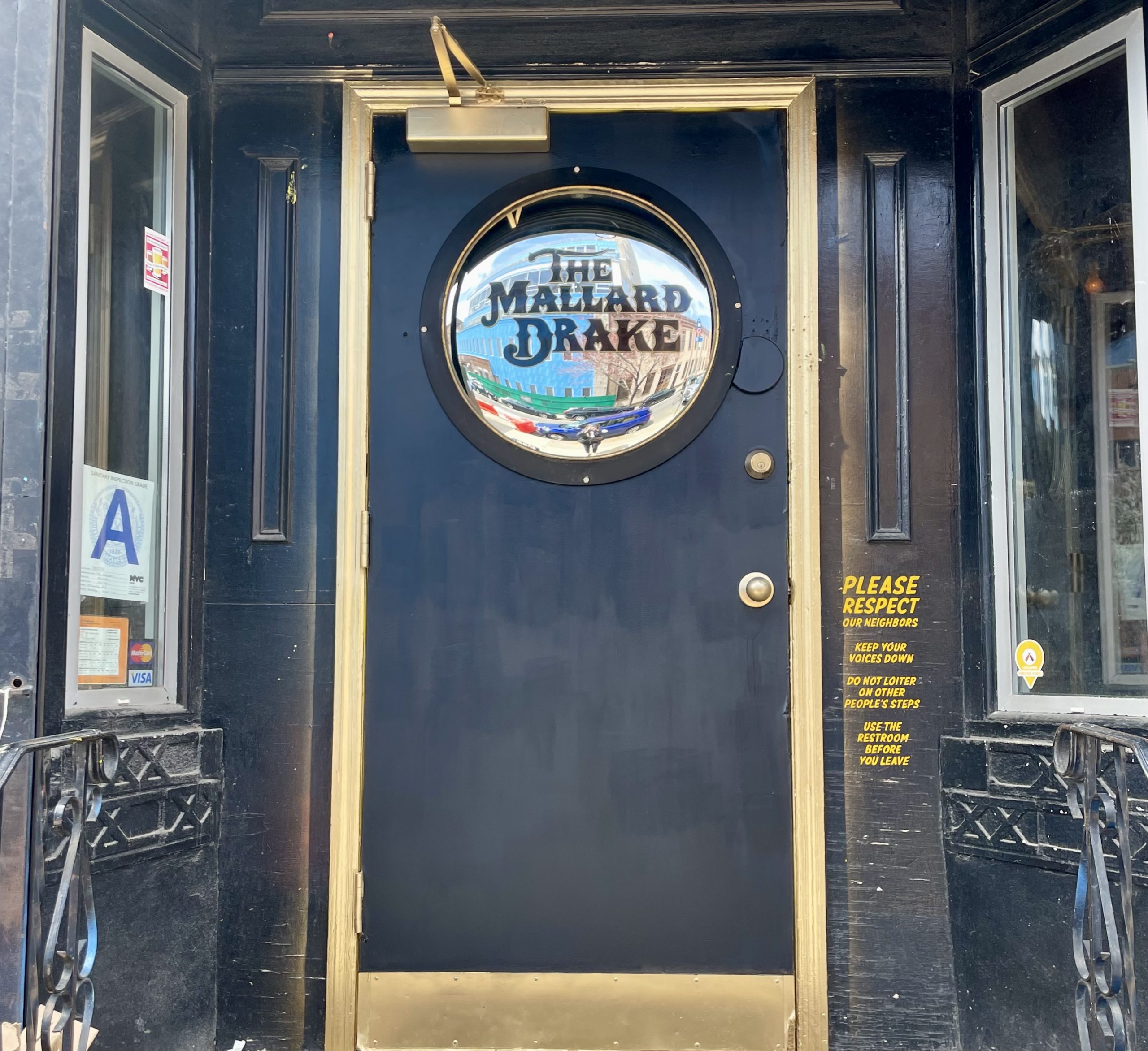 Mallard Drake - Greenpointers