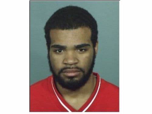 NYPDSuspect_Greenpoint_Greenpointers_LevineL - Greenpointers