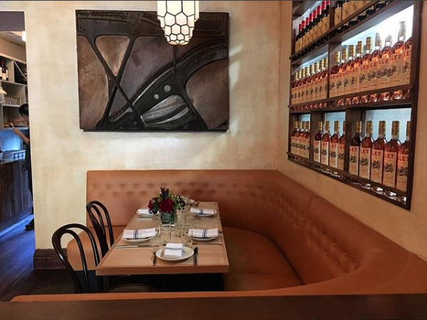 Anella Is Officially Back, Here's a First Look - GreenpointersGreenpointers