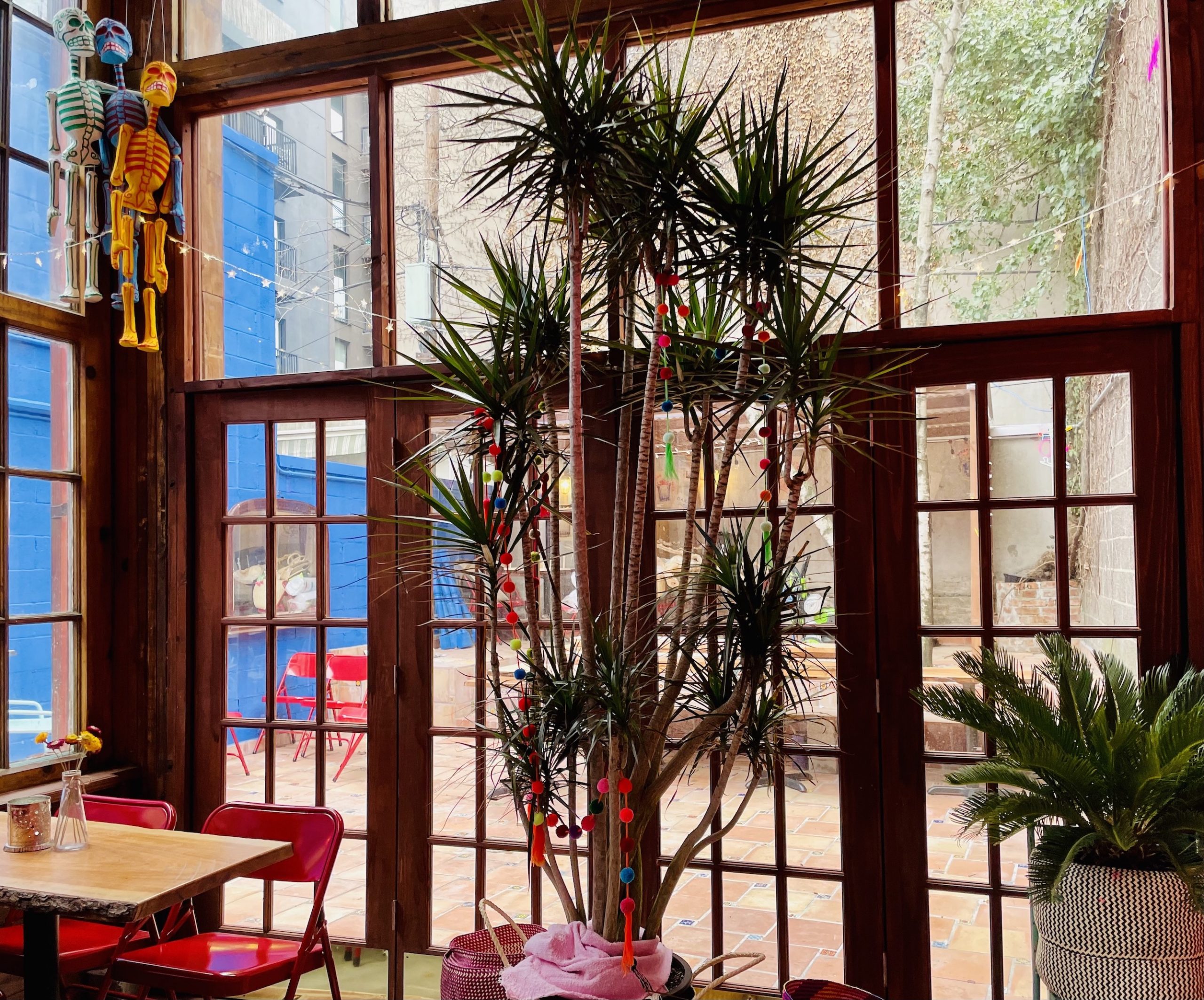 The Cactus Shop, a Plant Store and Speakeasy Cantina, To Open in ...
