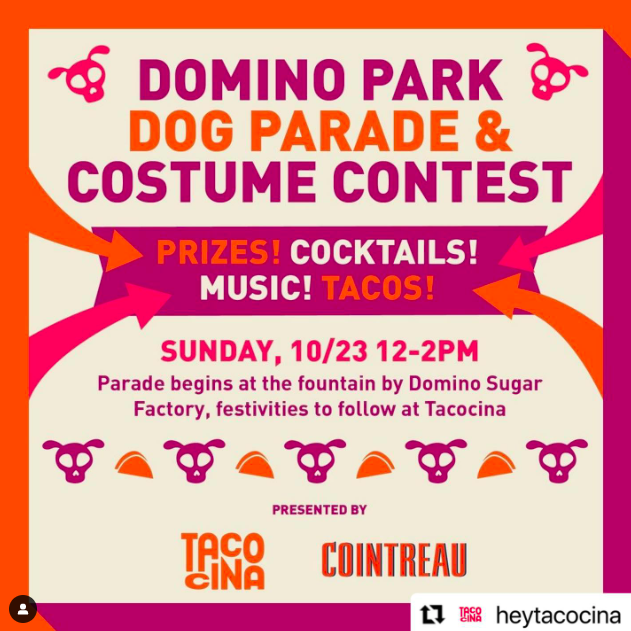 Screenshot-2022-10-20-at-09.38.33 - Greenpointers