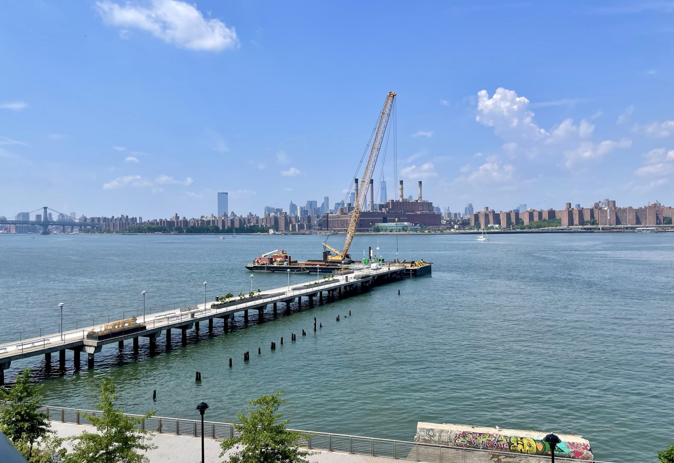 IMG_6619 - Greenpointers