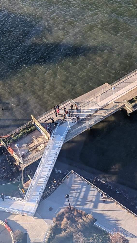 Greenpoint Ferry Stop is OFFICIALLY BACK - Greenpointers