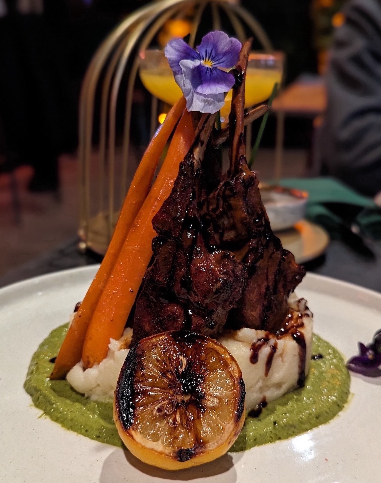 PXL_20240322_222733834.PORTRAIT - Greenpointers