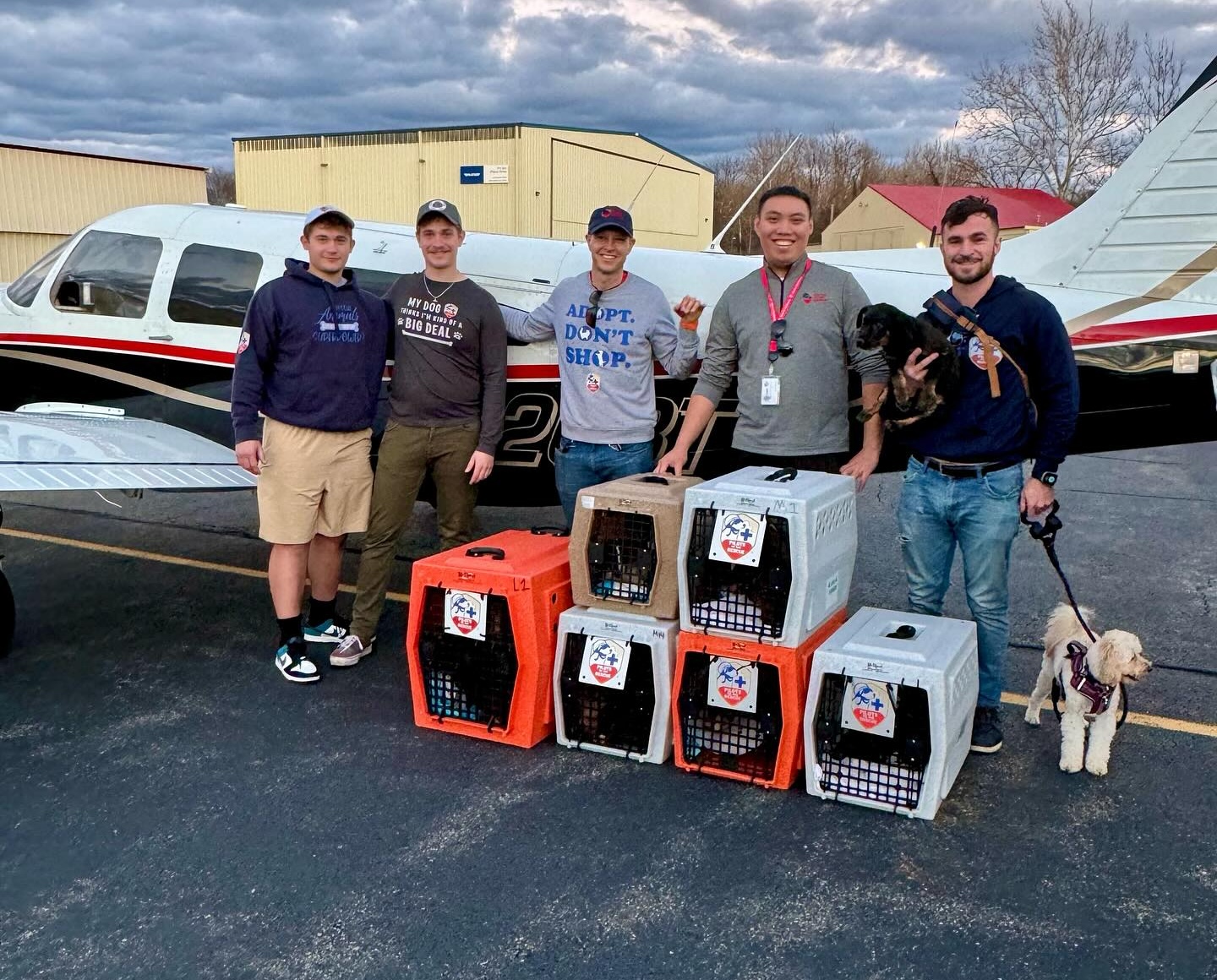 Greenpoint Local's Pilots to the Rescue Nonprofit Transports Animals in ...
