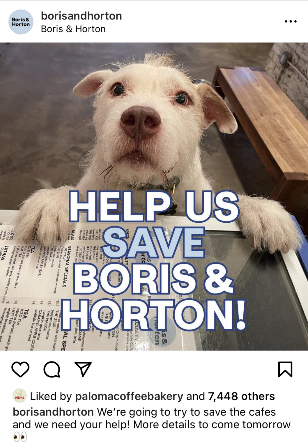 Williamsburg's Dog-Friendly Cafe Boris & Horton Asking for Community's ...