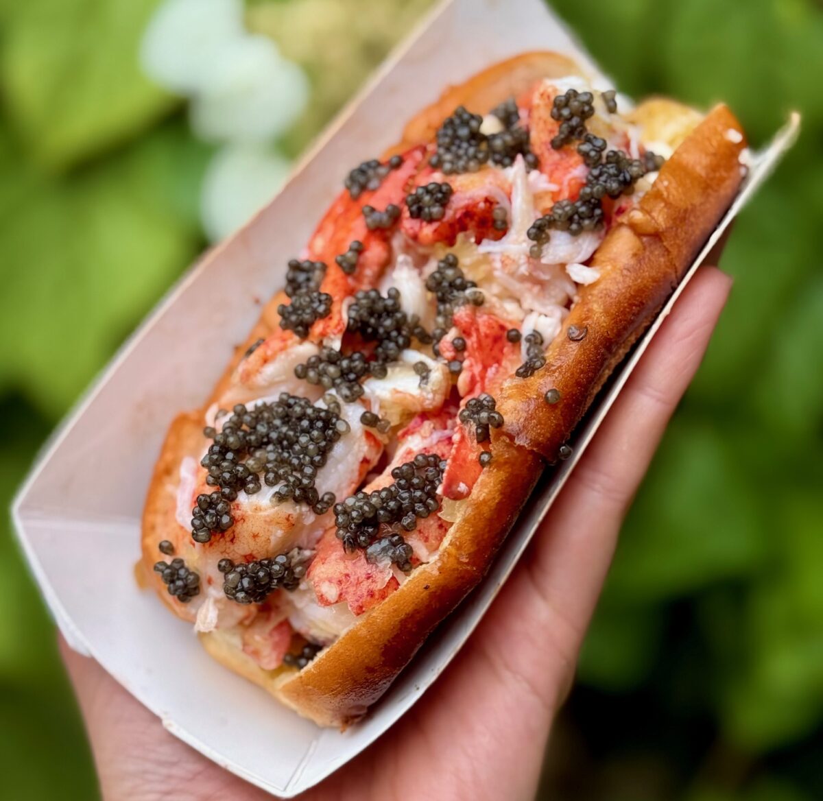 Sailor & Siren Lobster Roll Pop-Up Finds Permanent Home in Greenpoint ...